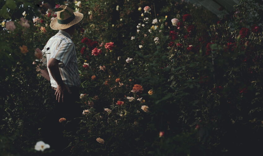 Les Rencontres Photographiques - Via Silva